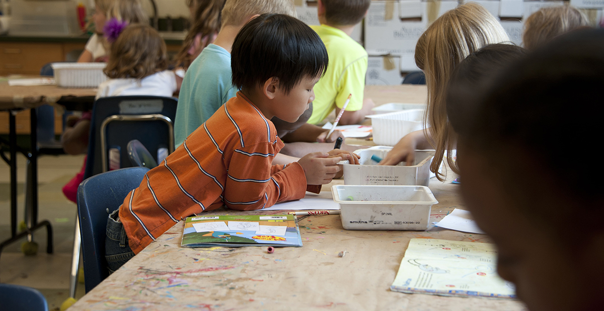 5 Ways to Make your Curriculum Work for You